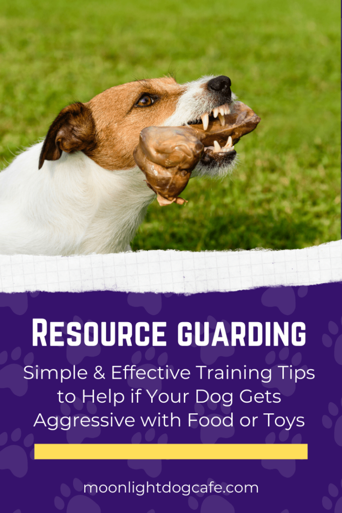 Resource Guarding in Dogs: How to Prevent Your Dog from Getting ...
