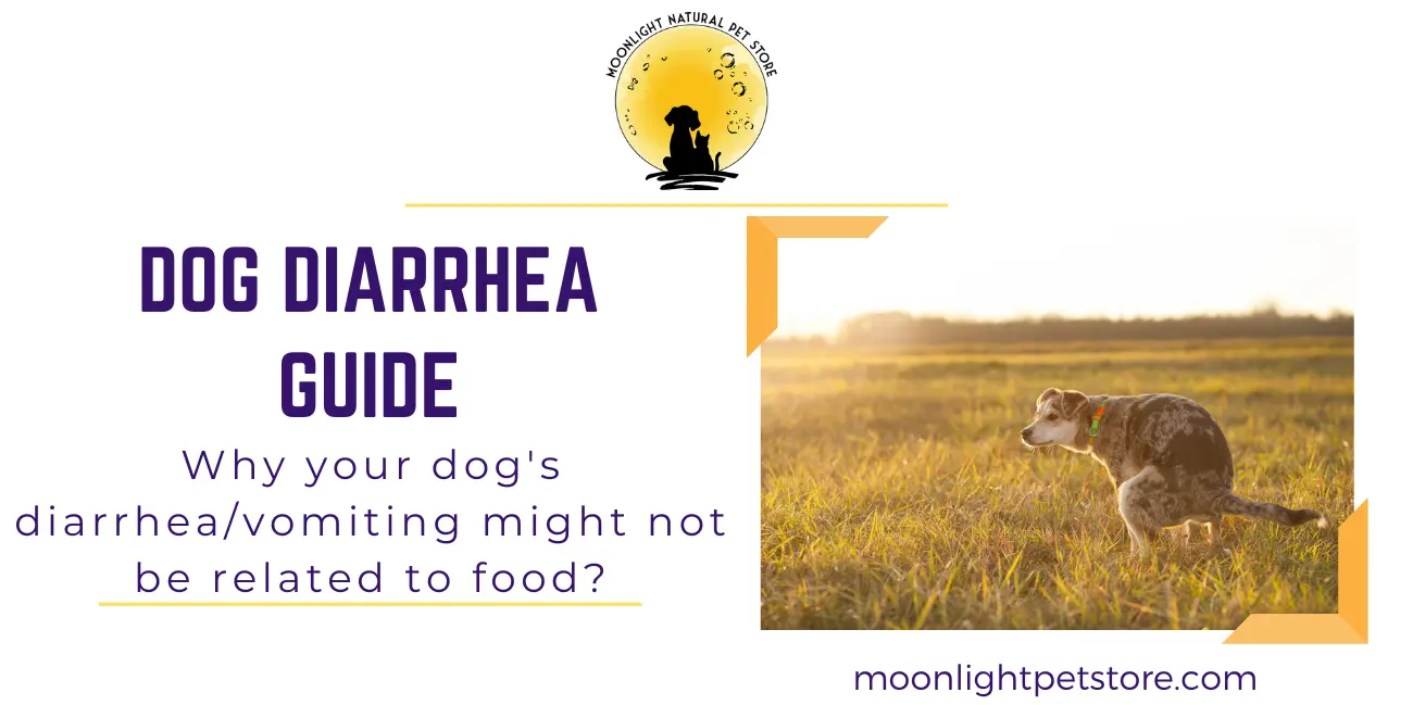 How To Fix Dog Diarrhea: Effective Home Remedies, Prevention Tips ...