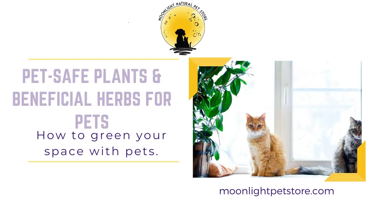 Discover a Great Guide to Pet-Safe Plants & 3 Beneficial Herbs for Pets