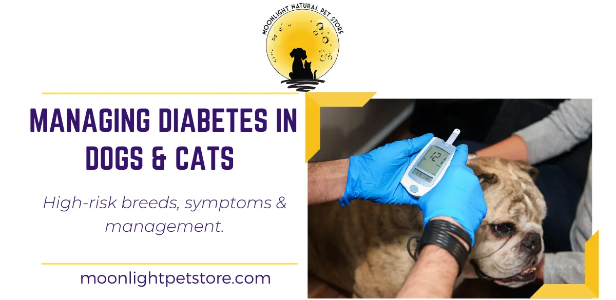 Diabetes In Dogs & Cats: Symptoms, Treatment & High-Risk Breeds